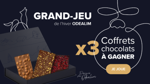 Odealim | Le Spécialiste en Assurances et Financements